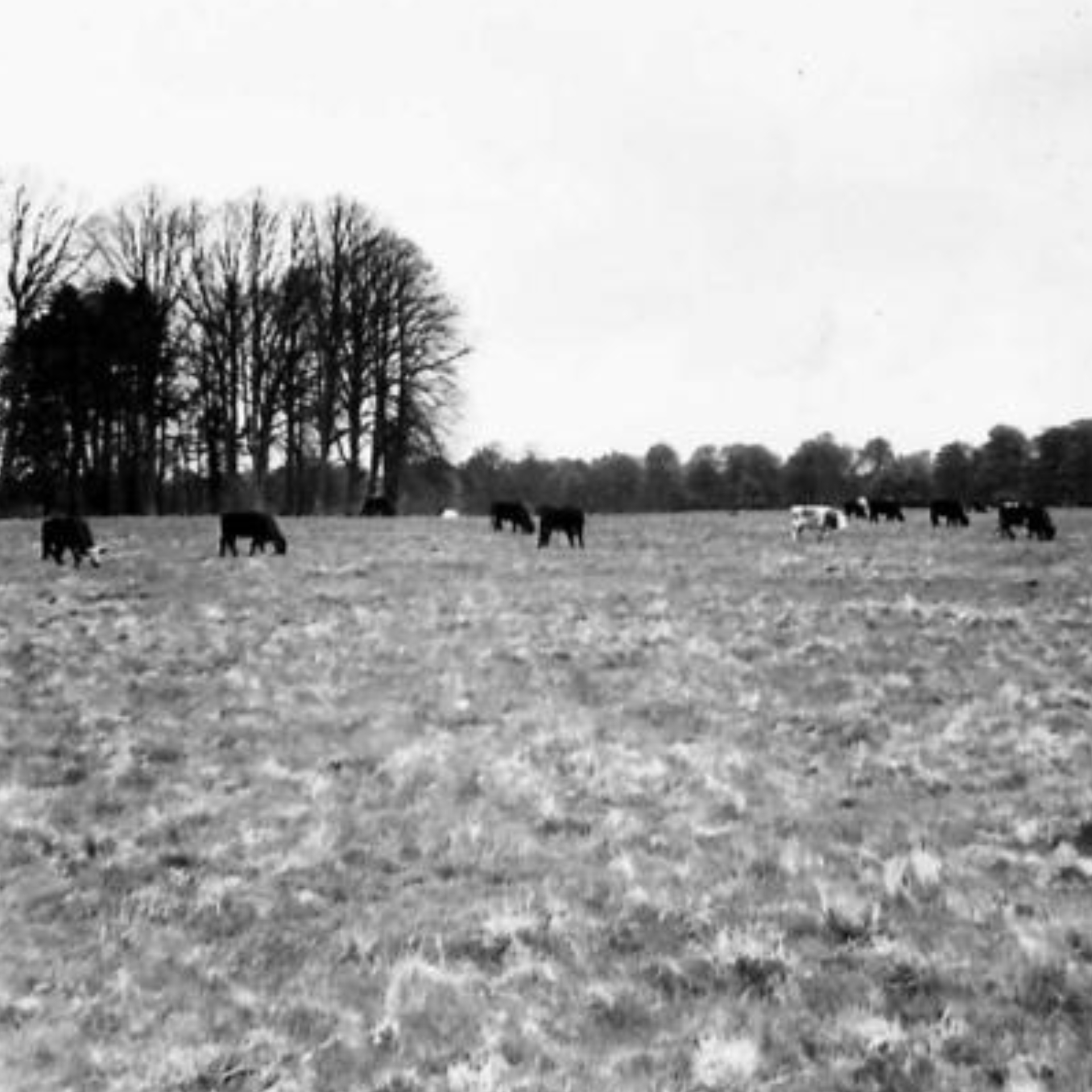 ©IWM H 19510 - WartimeNI